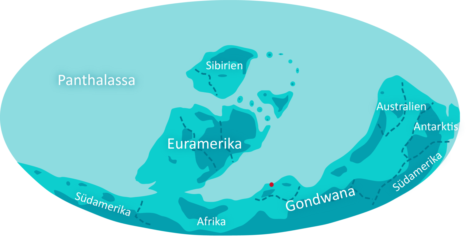 Kieferbildung der Wirbeltiere - Evolutionsweg